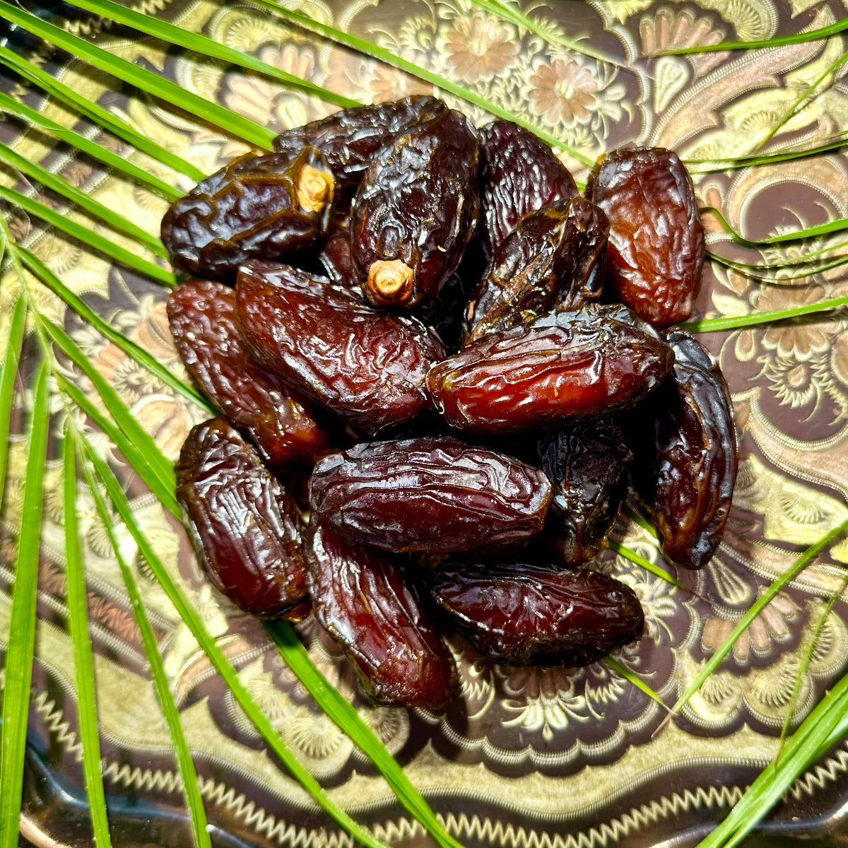Large Premium Medjool Dates – Golden Dates Farm